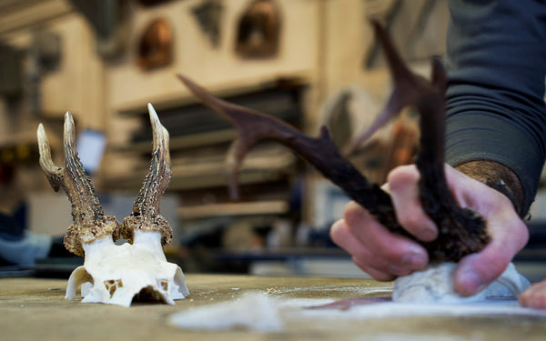 Honoring the Animal: The Complete Hunting Process - bowland-europe